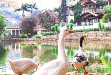 Lago dos Patos - Turismo de Monte Alegre do Sul