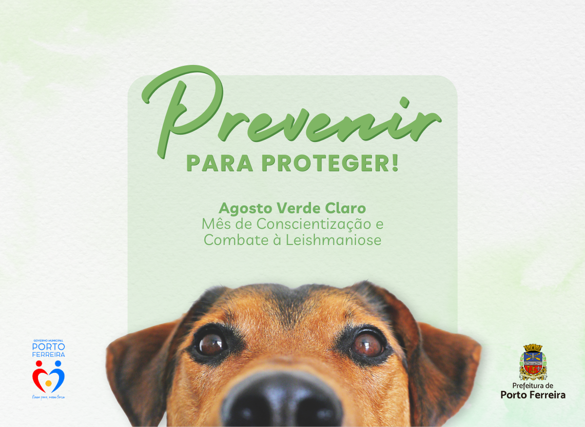 Campanha Agosto Verde-Claro chama a atenção para conscientização e ...